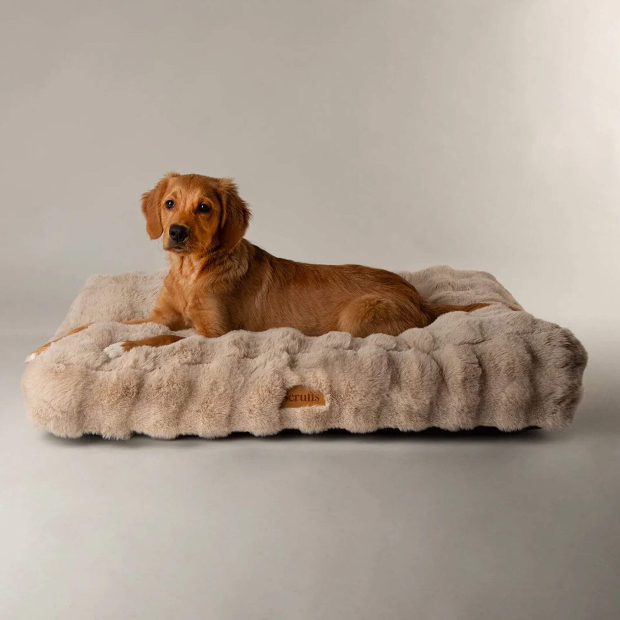 Buy Scruffs Alpine Faux Fur Mattress - Percys Pet Products